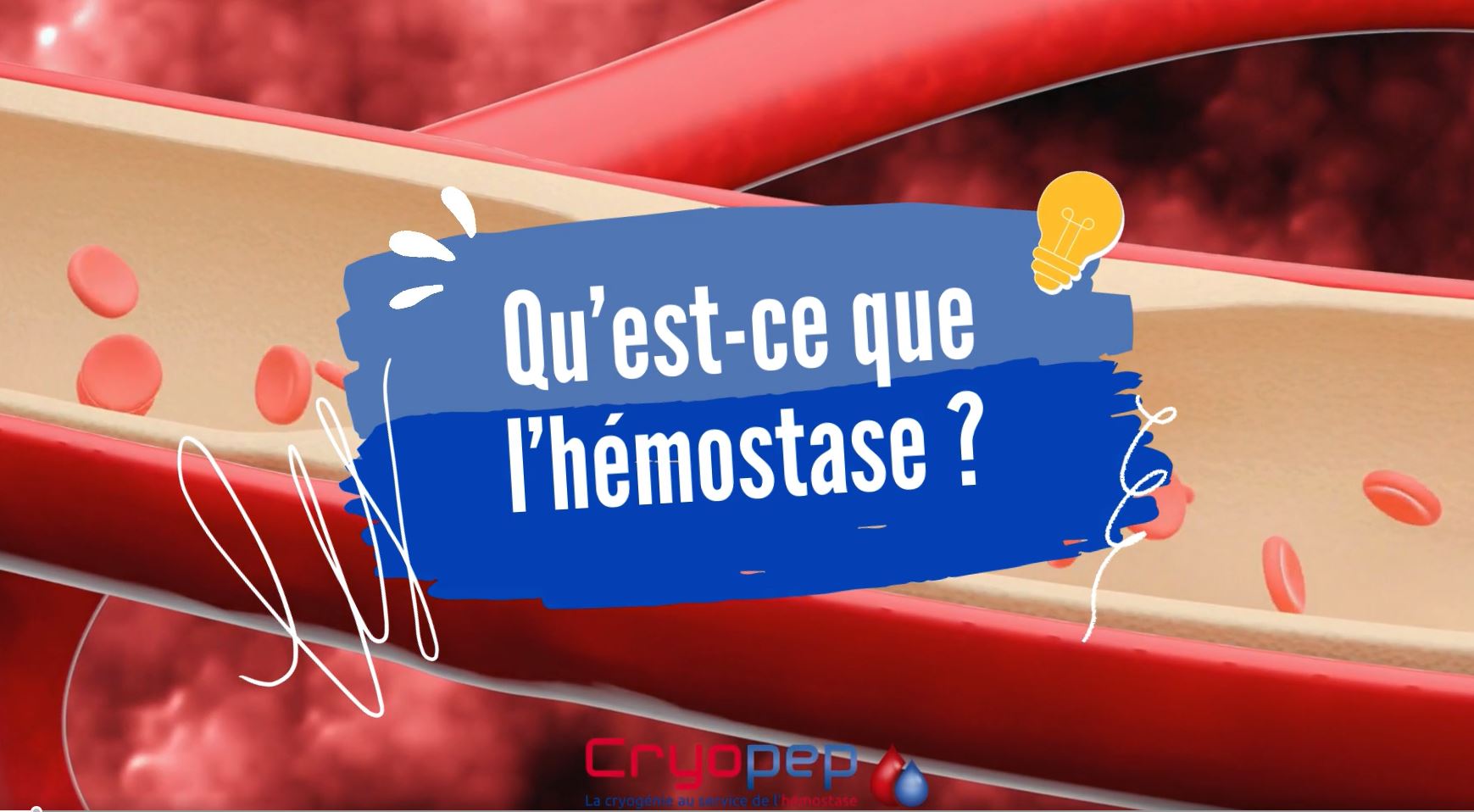 Qu’est-ce que l’hémostase ? - Cryopep