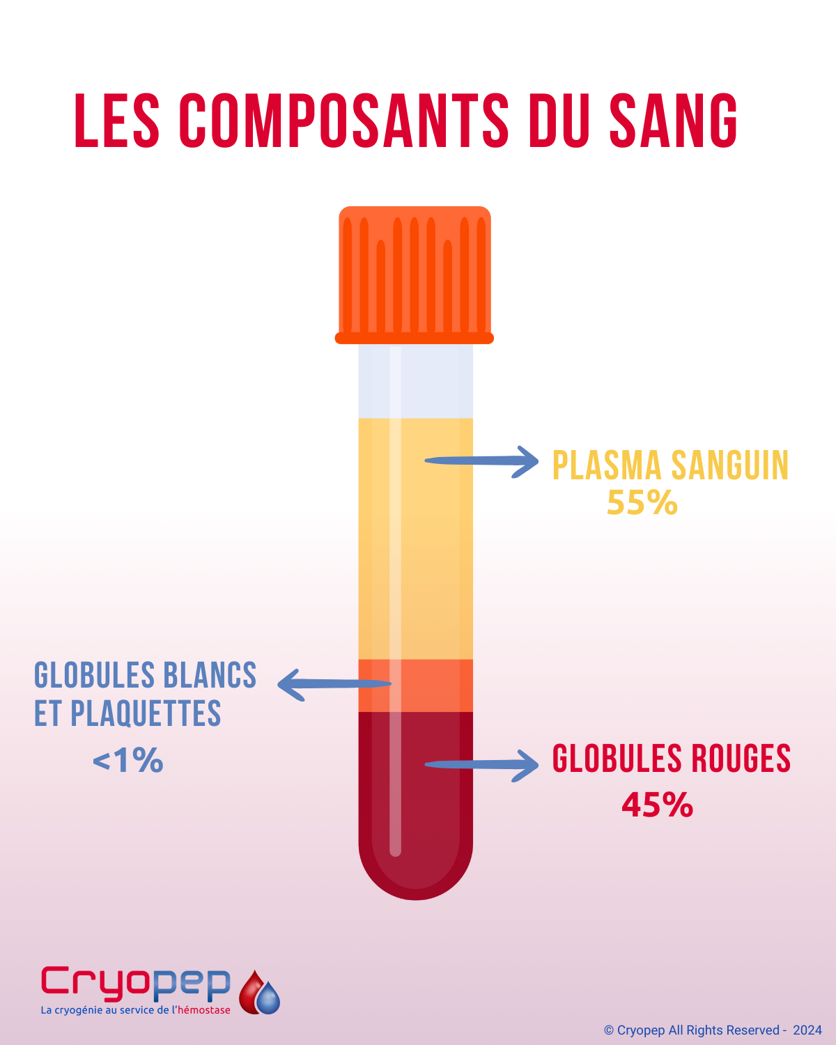 Qu'est-ce que le sang ? - Cryopep
