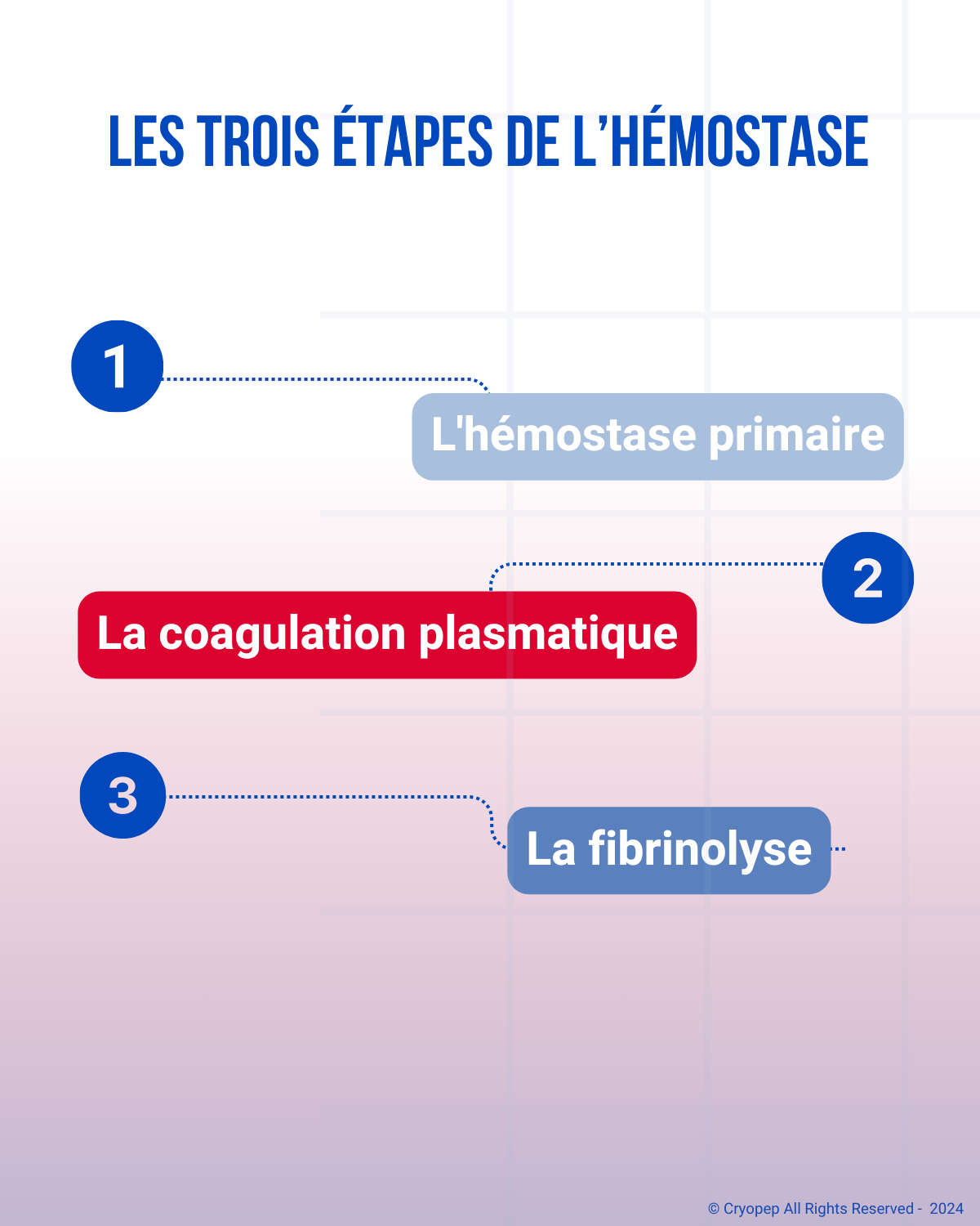 Cryopep - L’hémostase